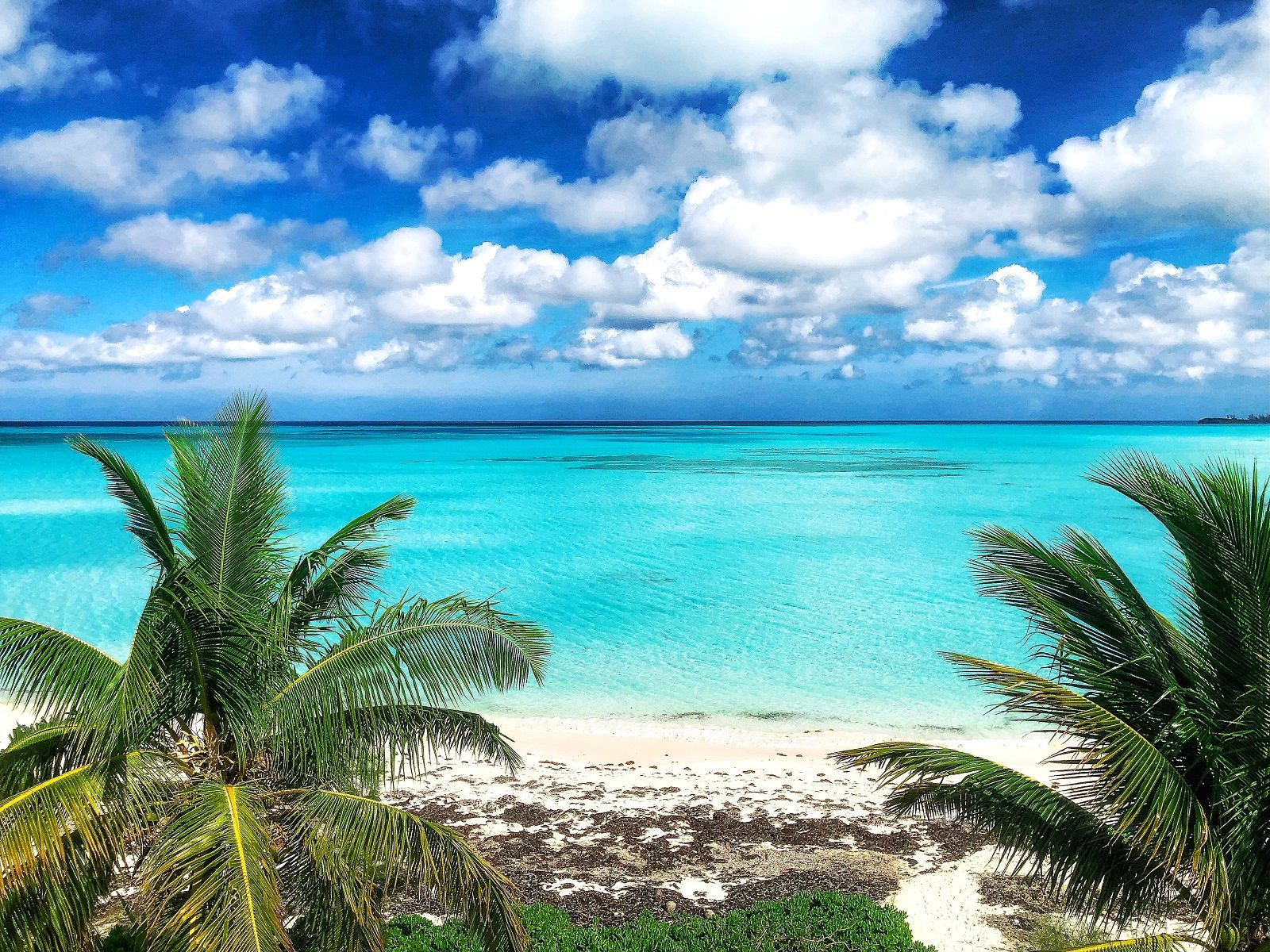 Harbour Island Boat Rental - Perfect Boat for a Perfect Day